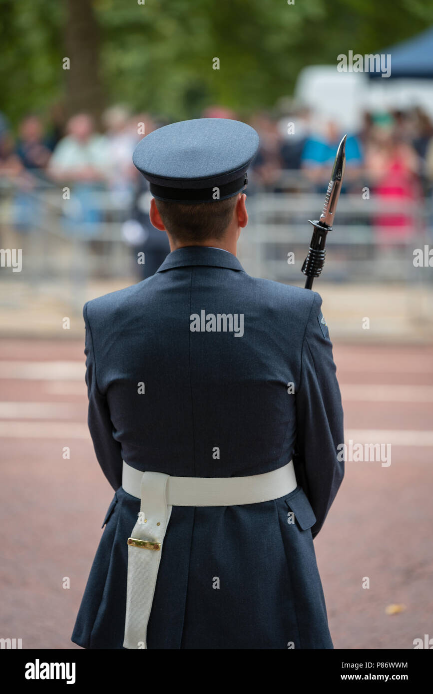 Crowds gather along The Mall to help celebrate the 100th anniversary of ...
