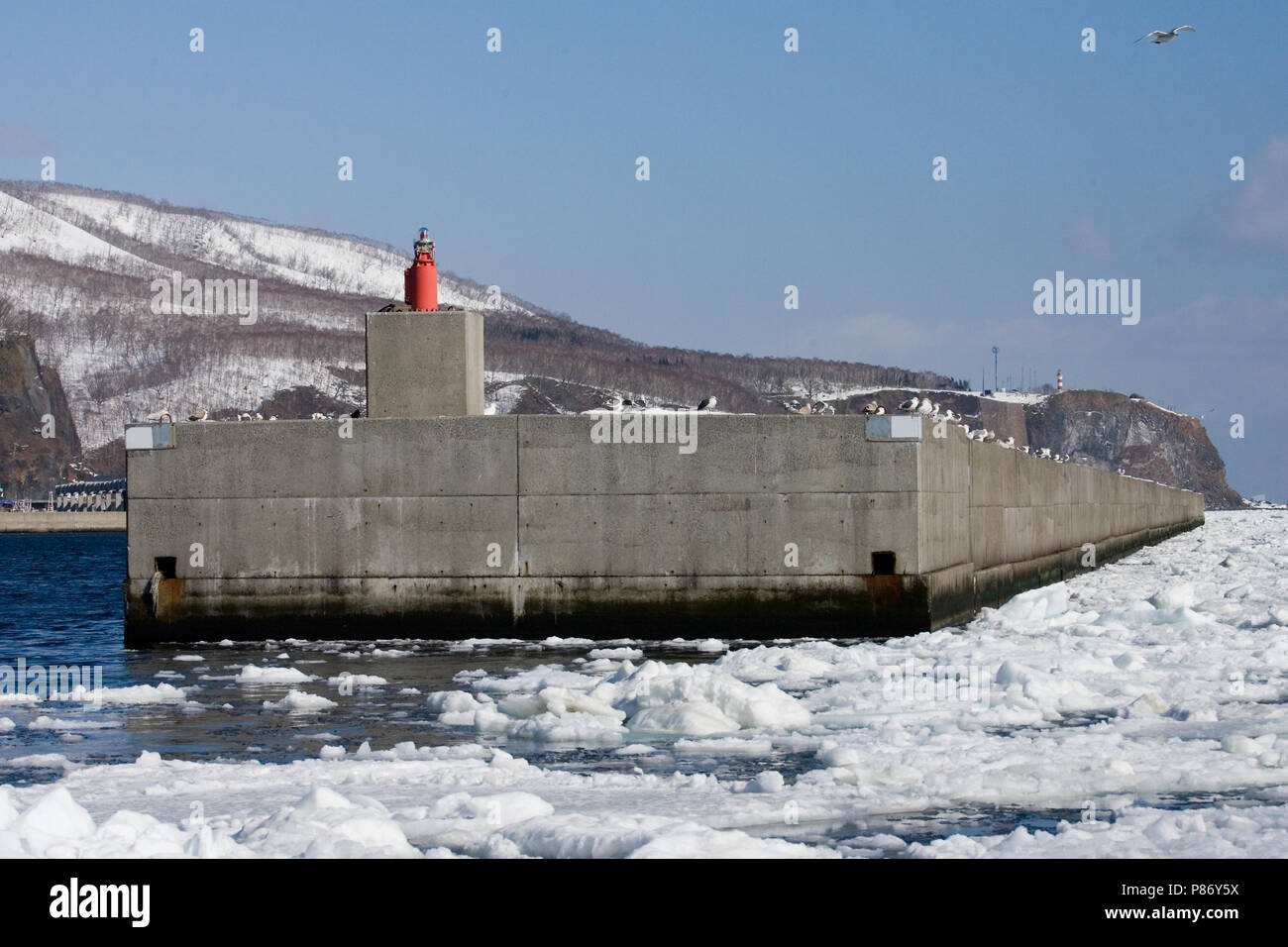 Pach hi-res stock photography and images - Alamy