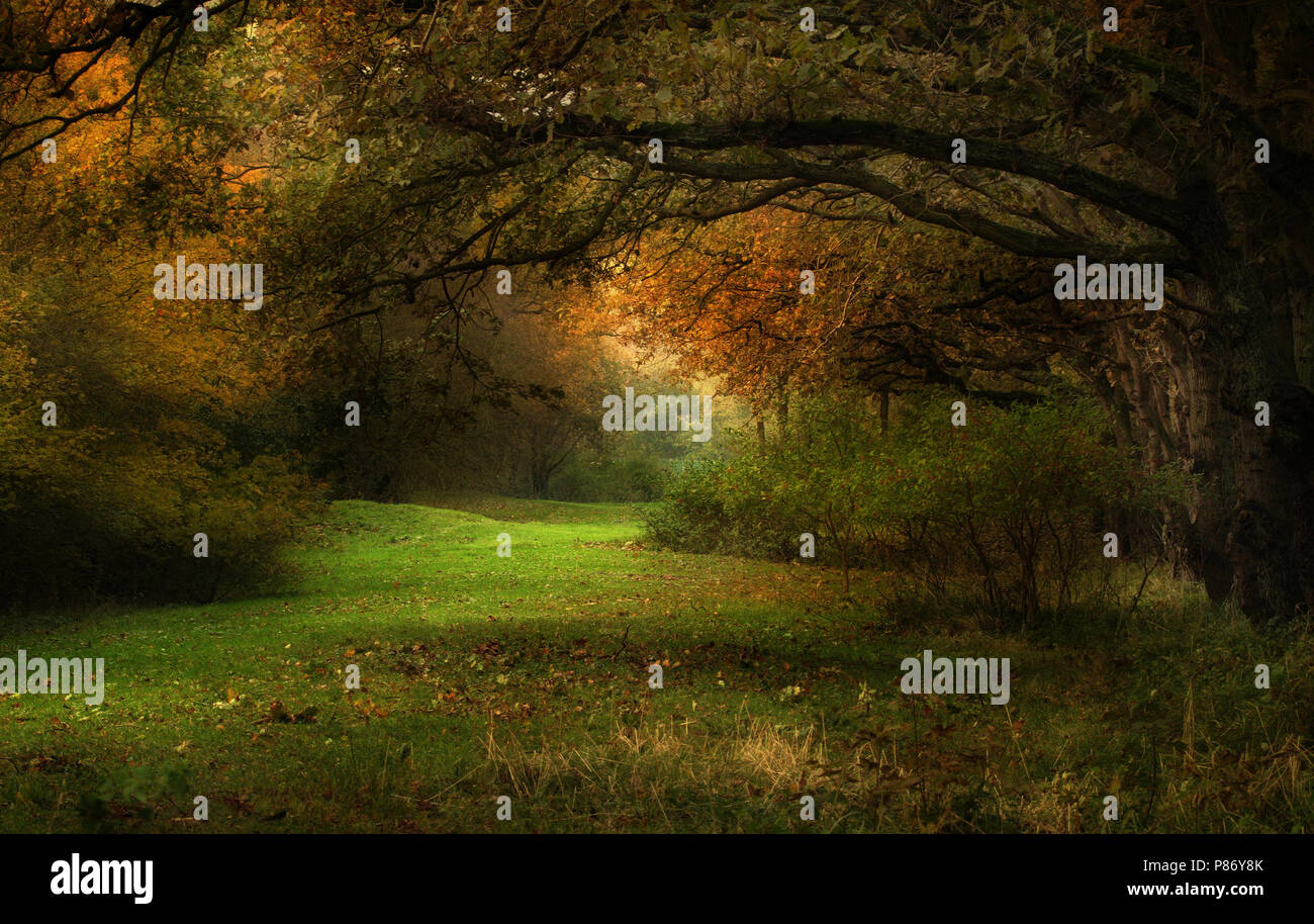 Pabos hi-res stock photography and images - Alamy