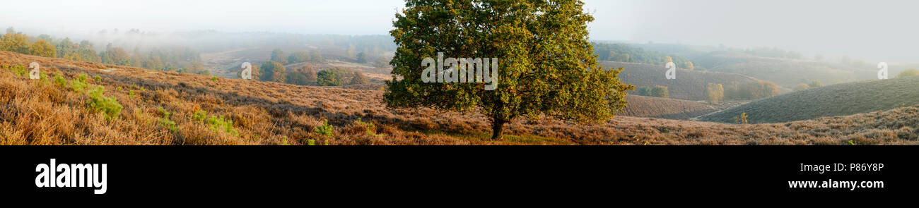 Herfstkleuren hi-res stock photography and images - Alamy