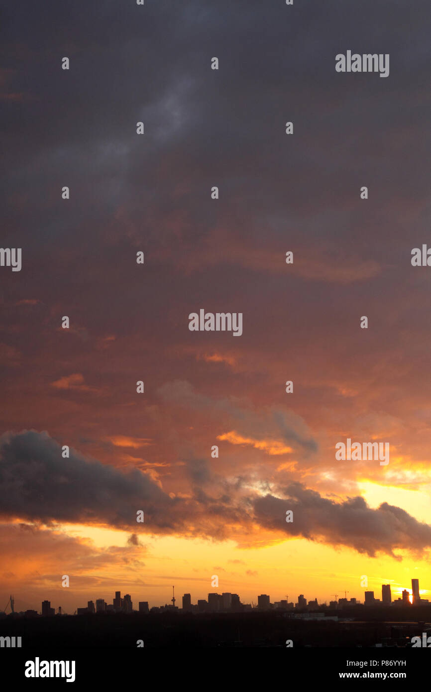 Evening rotterdam hi-res stock photography and images - Alamy