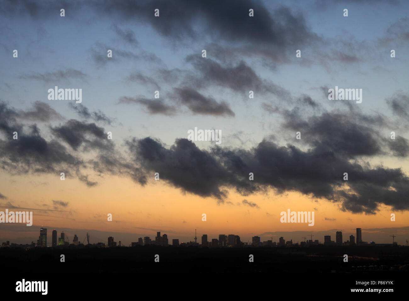 De sky line van Rotterdam in de avond; Rotterdam sky line in the ...