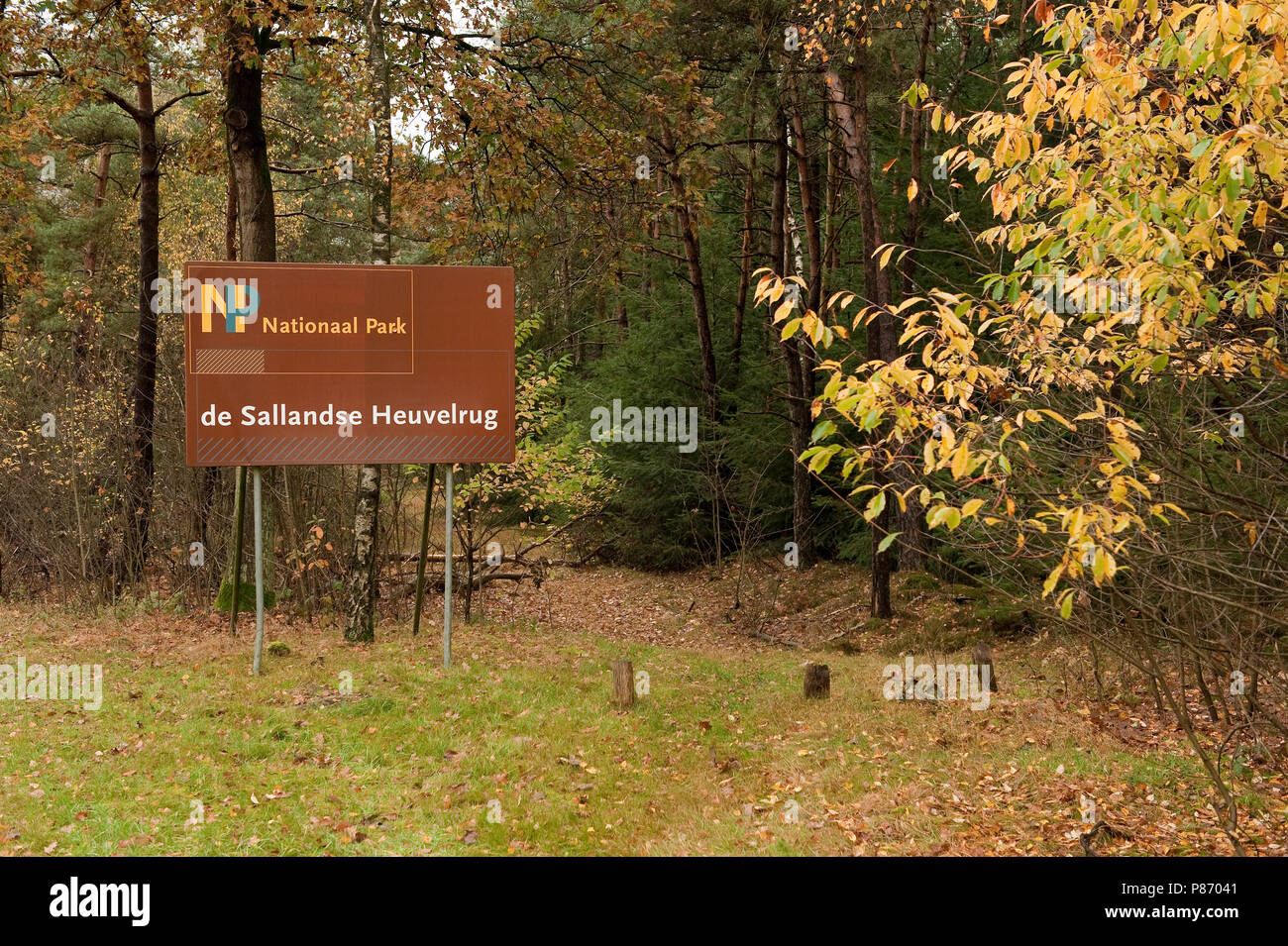 Nationaal park Sallandse Heuvelrug; National park Sallandse Heuvelrug ...