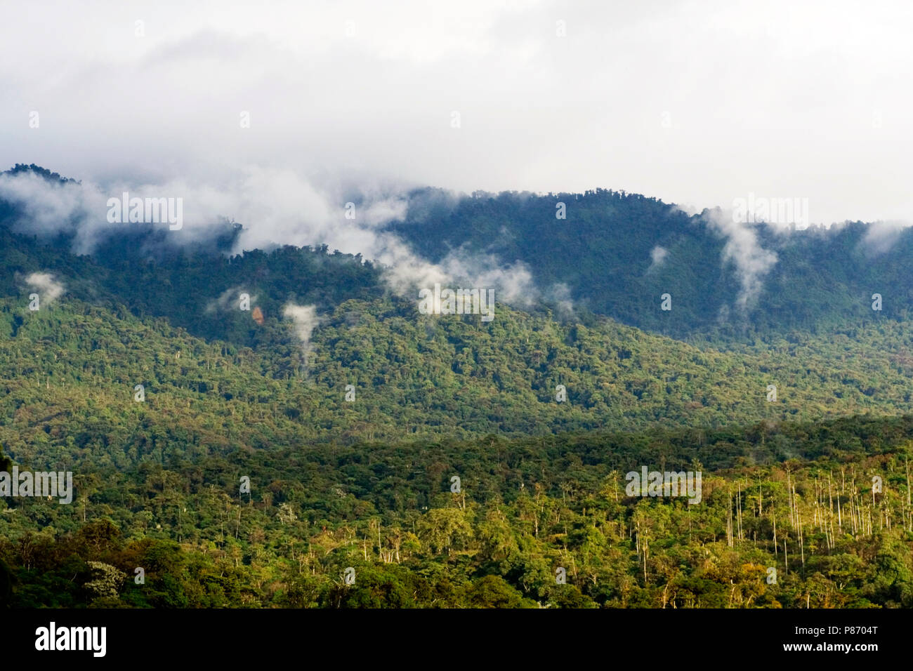 West slope hi-res stock photography and images - Alamy