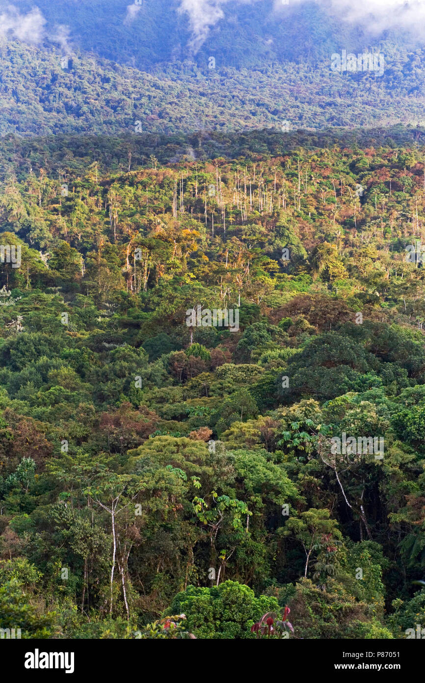 Andes ecuador hi-res stock photography and images - Alamy