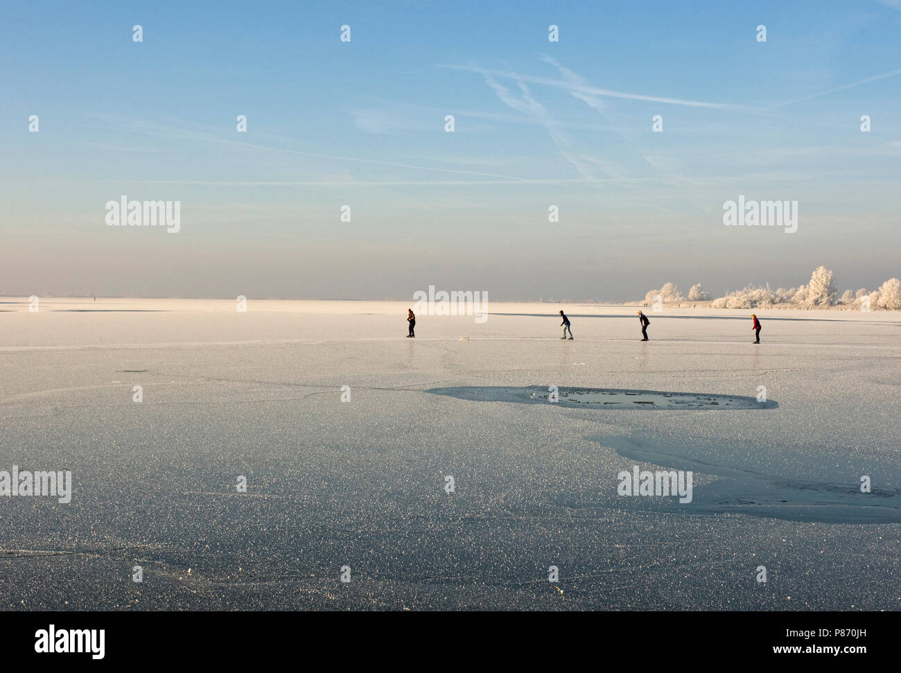 Winters landschap Oostvaardersplassen met schaatsers; Winter landscape ...