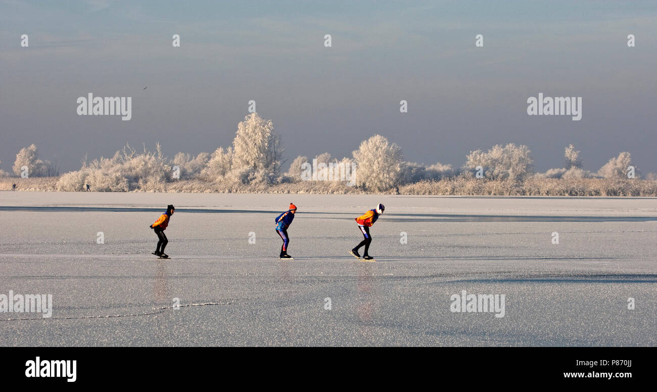 Winters landschap Oostvaardersplassen met schaatsers; Winter landscape ...