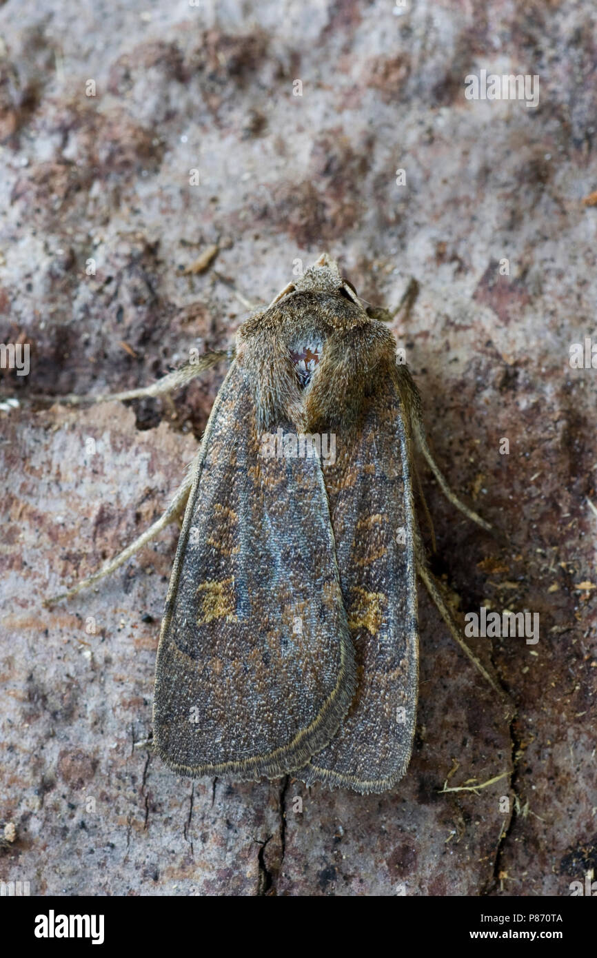 Squarespot hi-res stock photography and images - Alamy