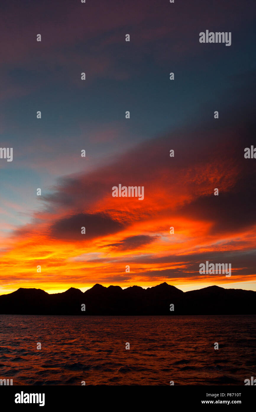 South georgie island hi-res stock photography and images - Alamy