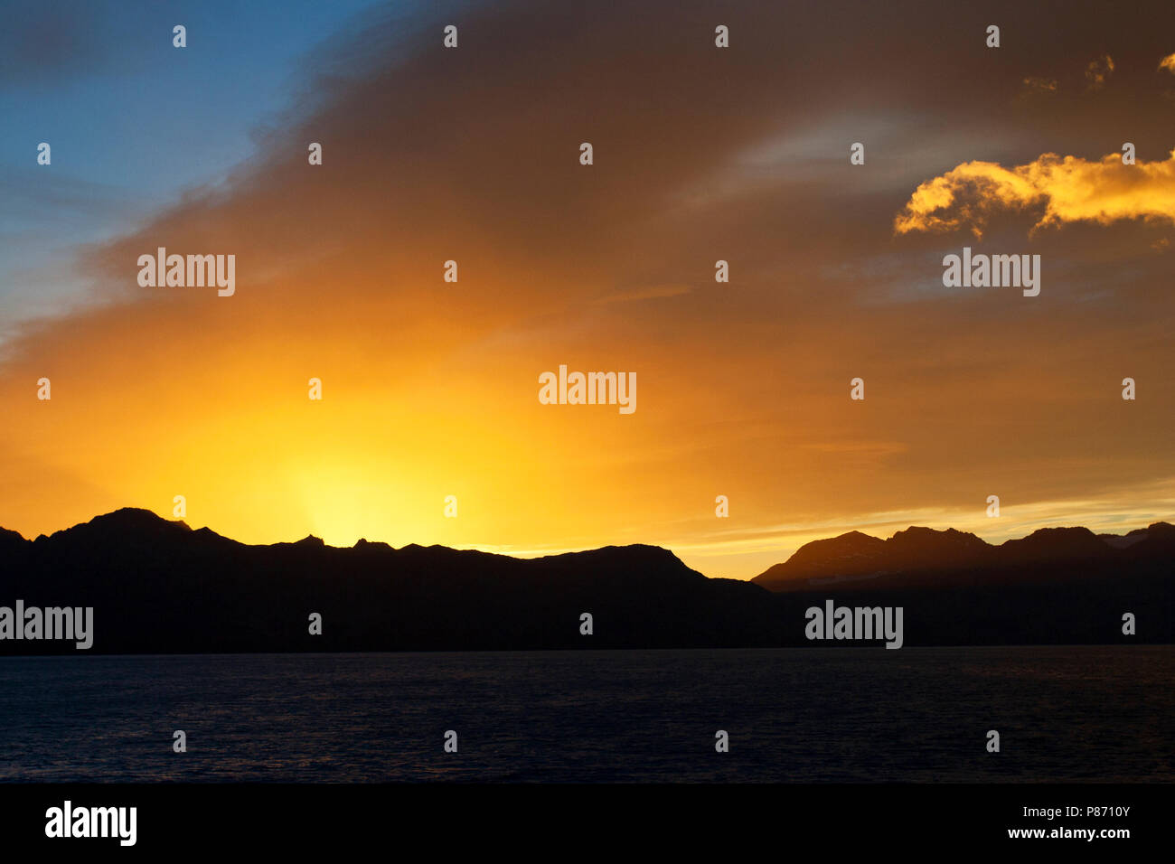 South georgie island hi-res stock photography and images - Alamy