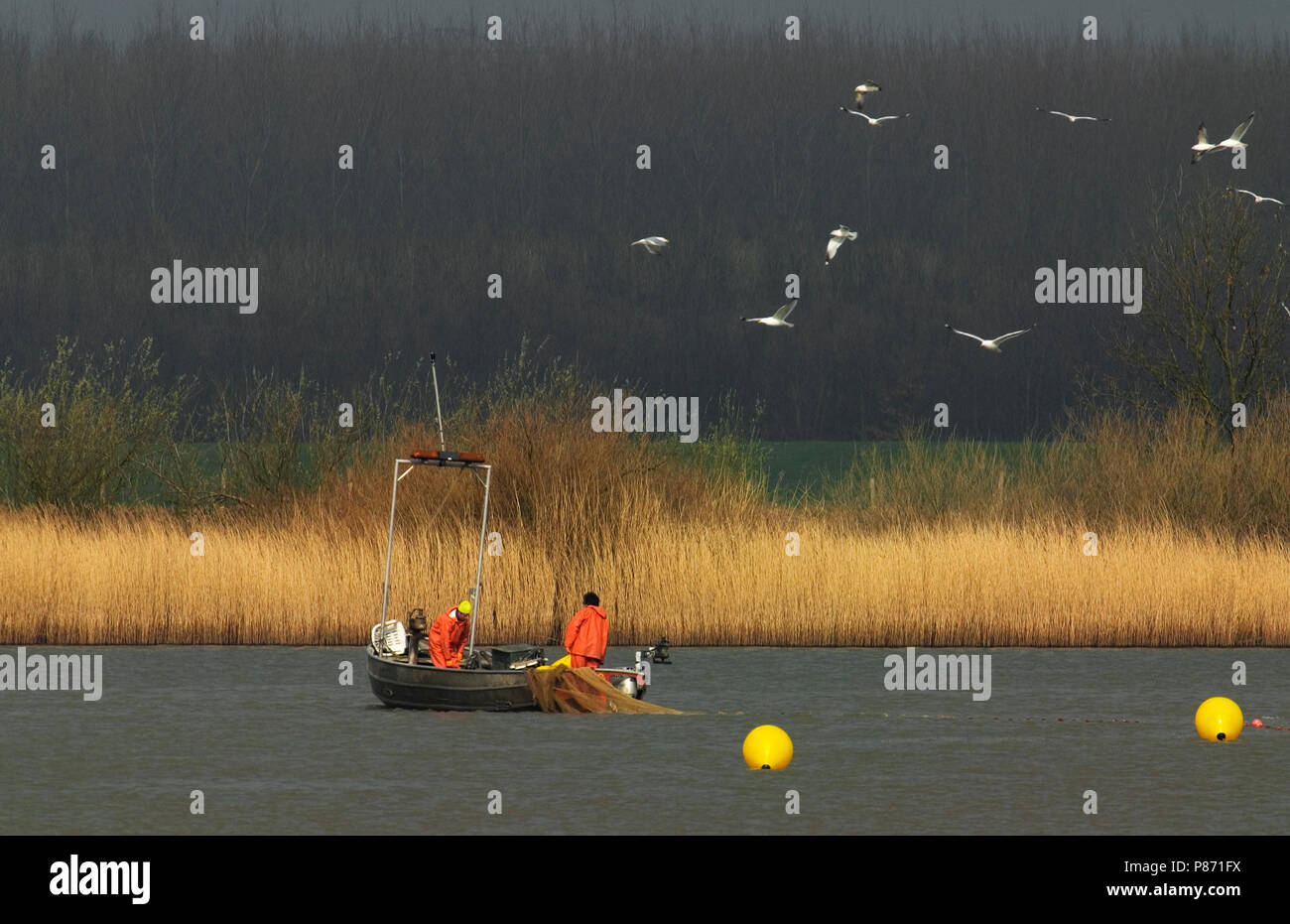 Vissers op de Nieuwe Merwede; Fisherman on Nieuwe Merwede Stock Photo ...