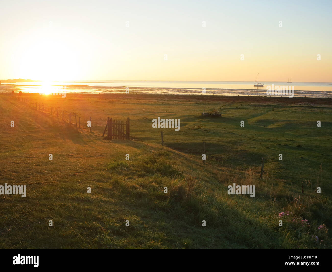 Westerveld 2000 hi-res stock photography and images - Alamy