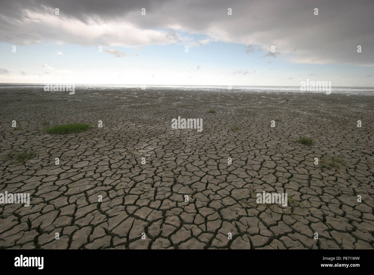 Waddenzee, Wadden Sea Stock Photo - Alamy