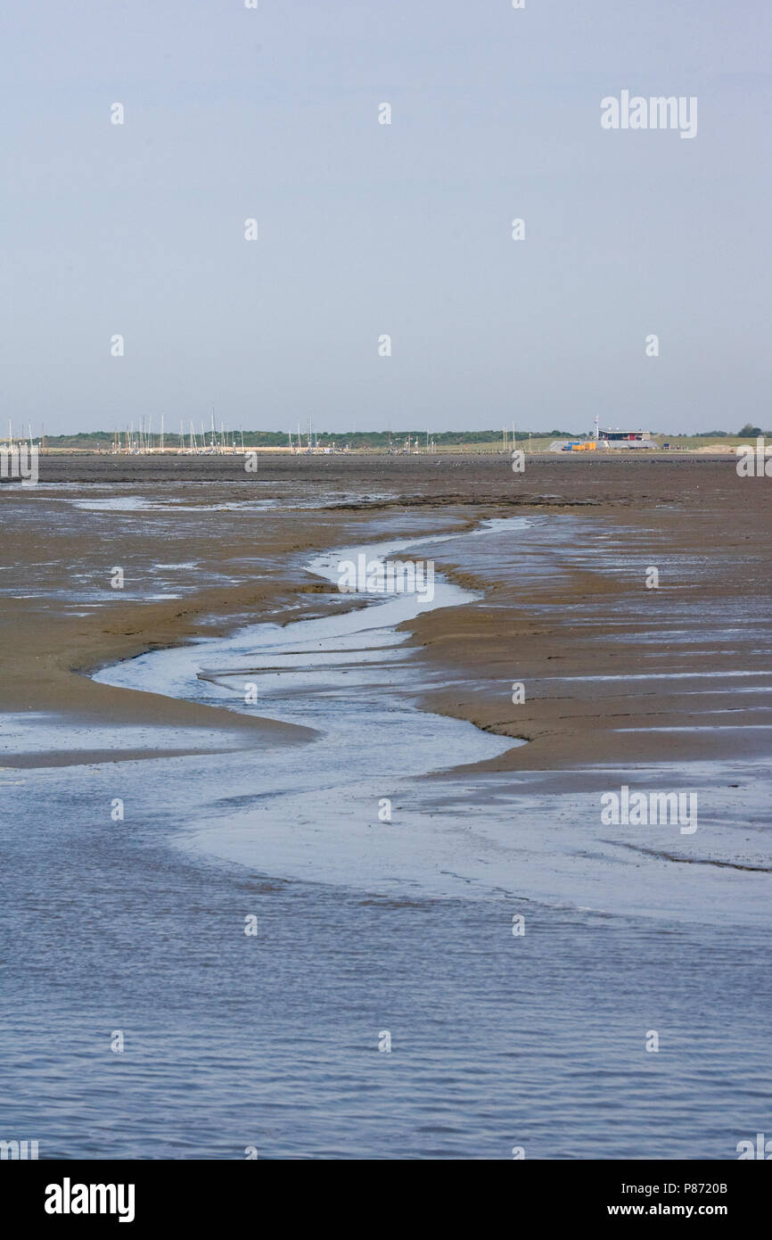 Holland wadden hi-res stock photography and images - Alamy