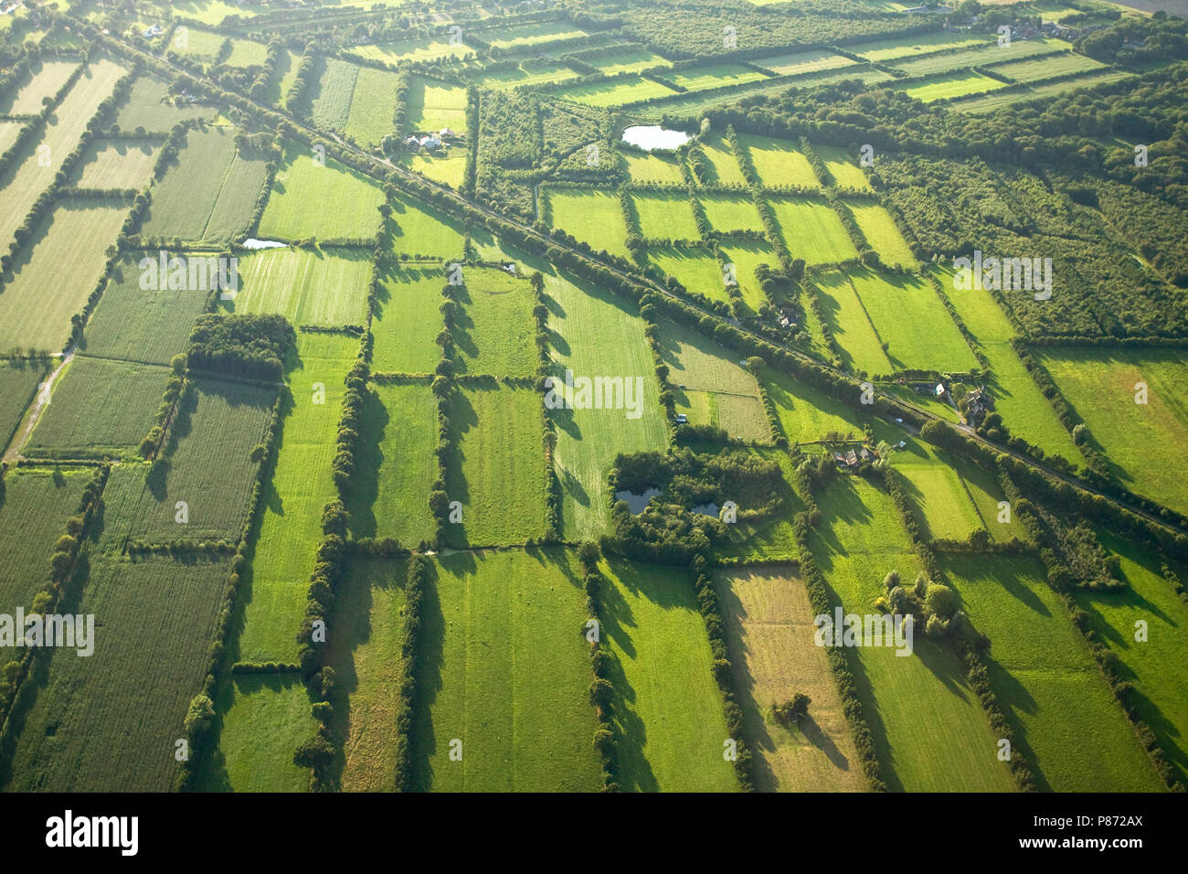 Luchtfoto van boerenland in Friesland; Aerial photo of rural aereas in ...