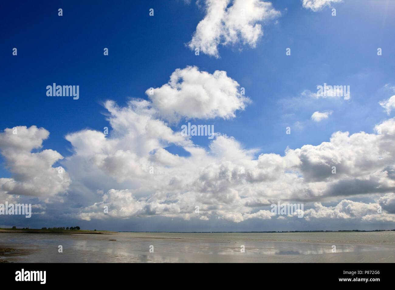 Laag water in de Westerschelde Nederland, Low tide at the Westerschelde ...