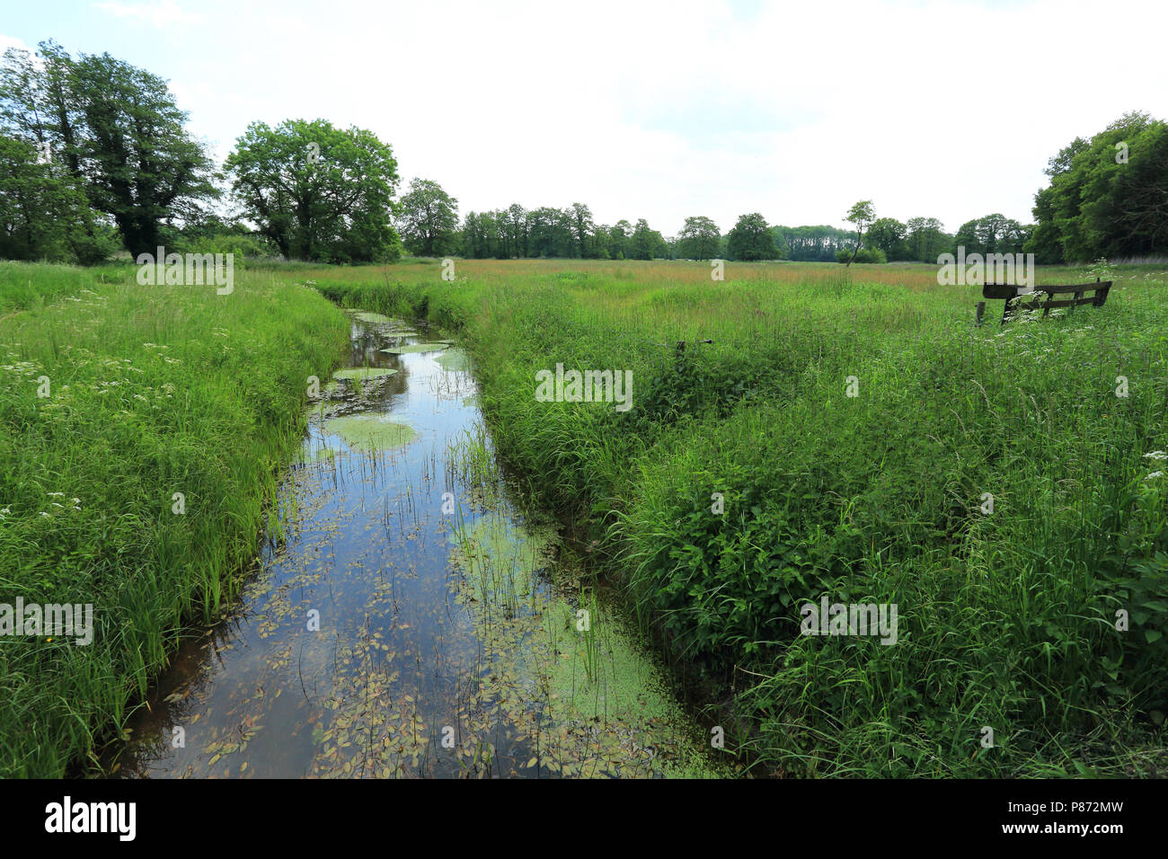 Drentse hi-res stock photography and images - Alamy