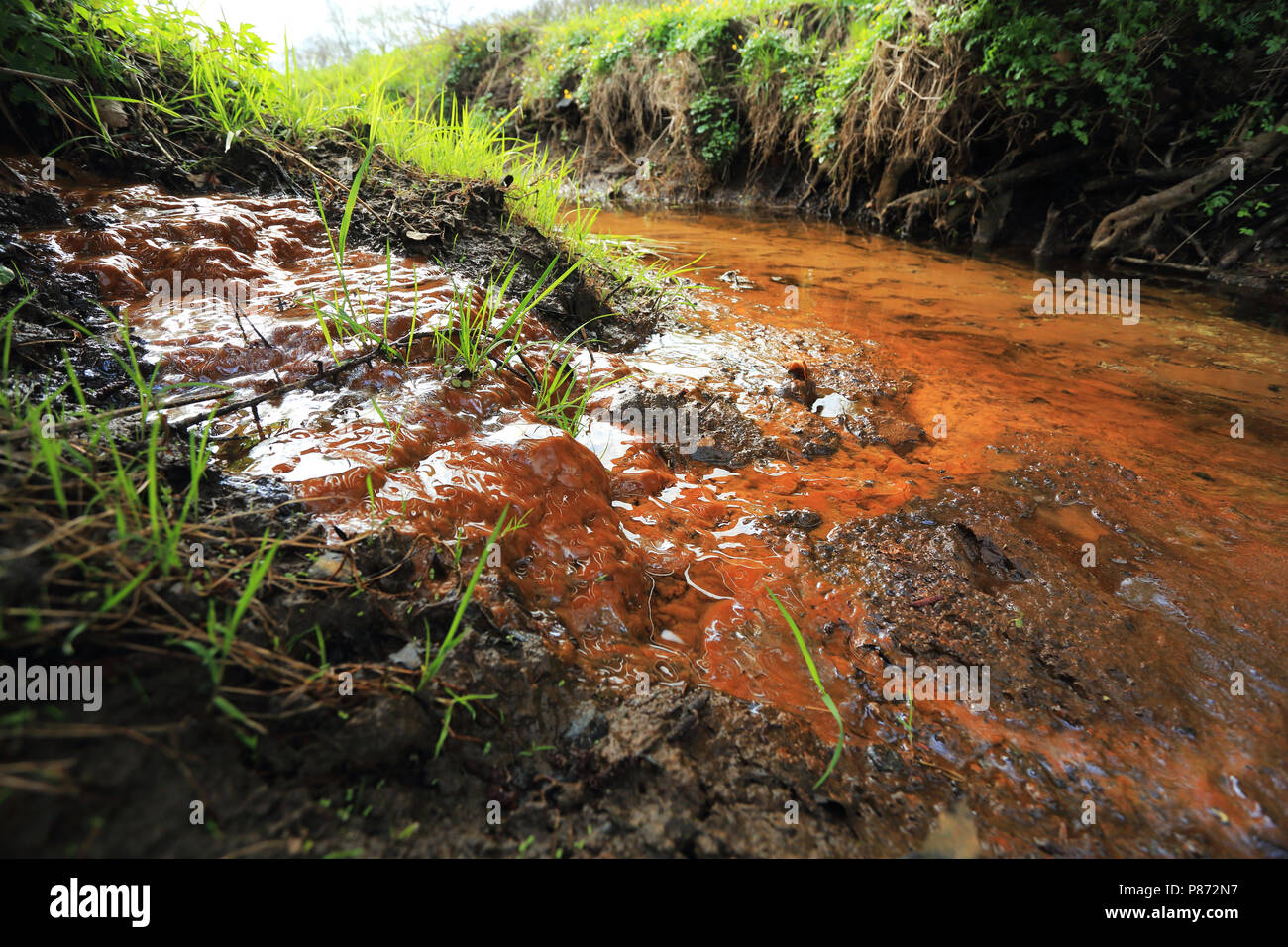 Drentse landschap hi-res stock photography and images - Alamy