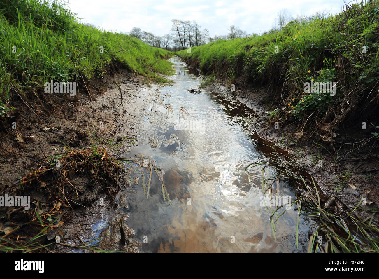 Drentse aa hi-res stock photography and images - Alamy