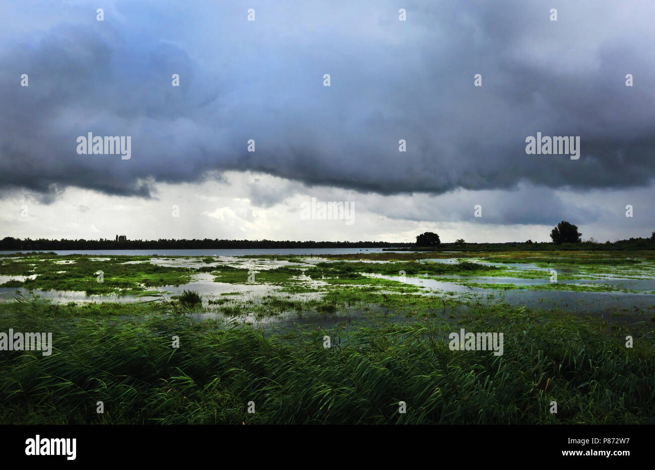 Boven rijn hi-res stock photography and images - Alamy