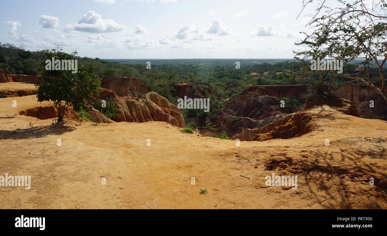 Hells Kitchen Canyon of Marafa in Keyna Stock Photo - Alamy
