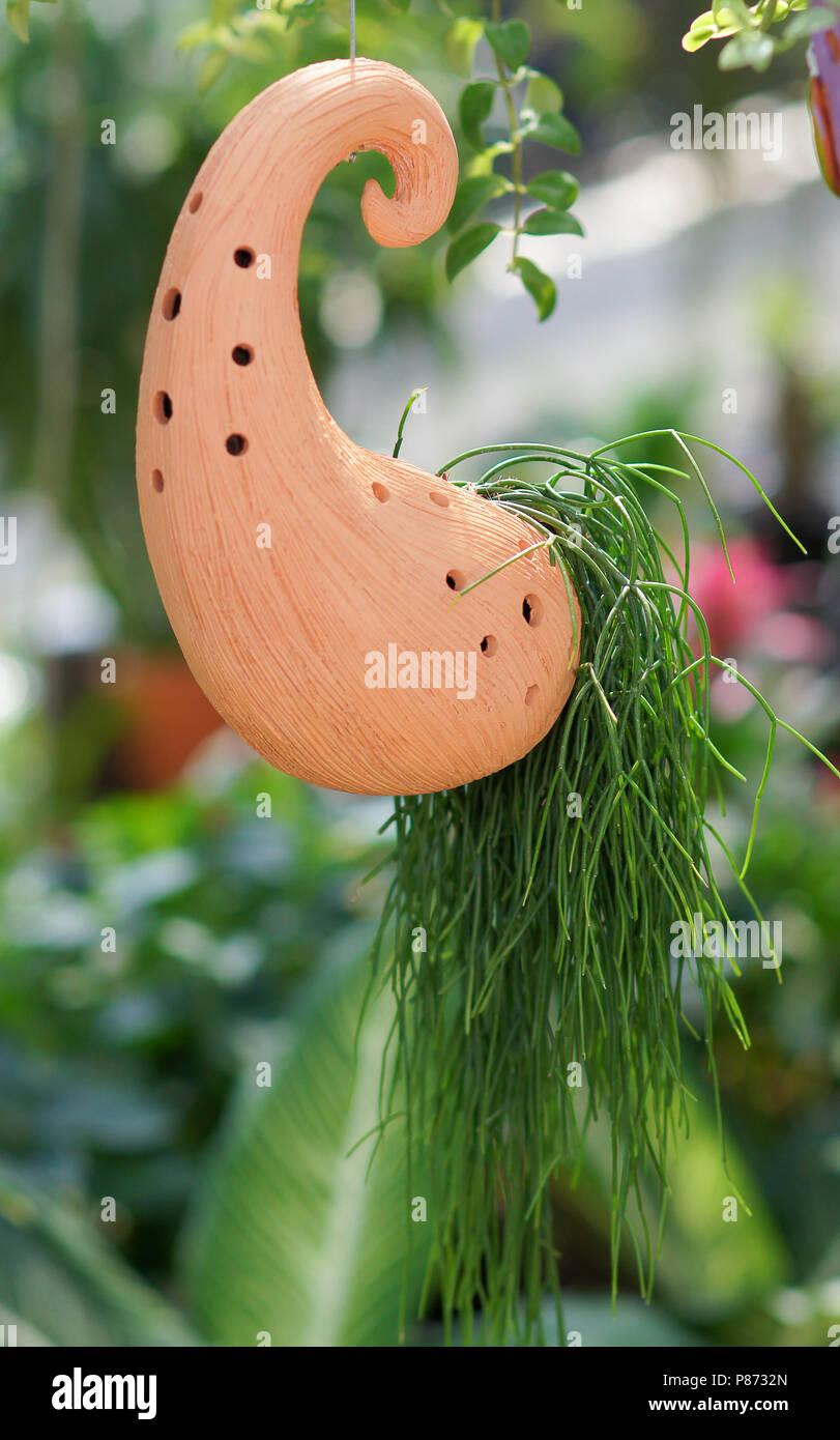 Clay pots hanging Stock Photo - Alamy