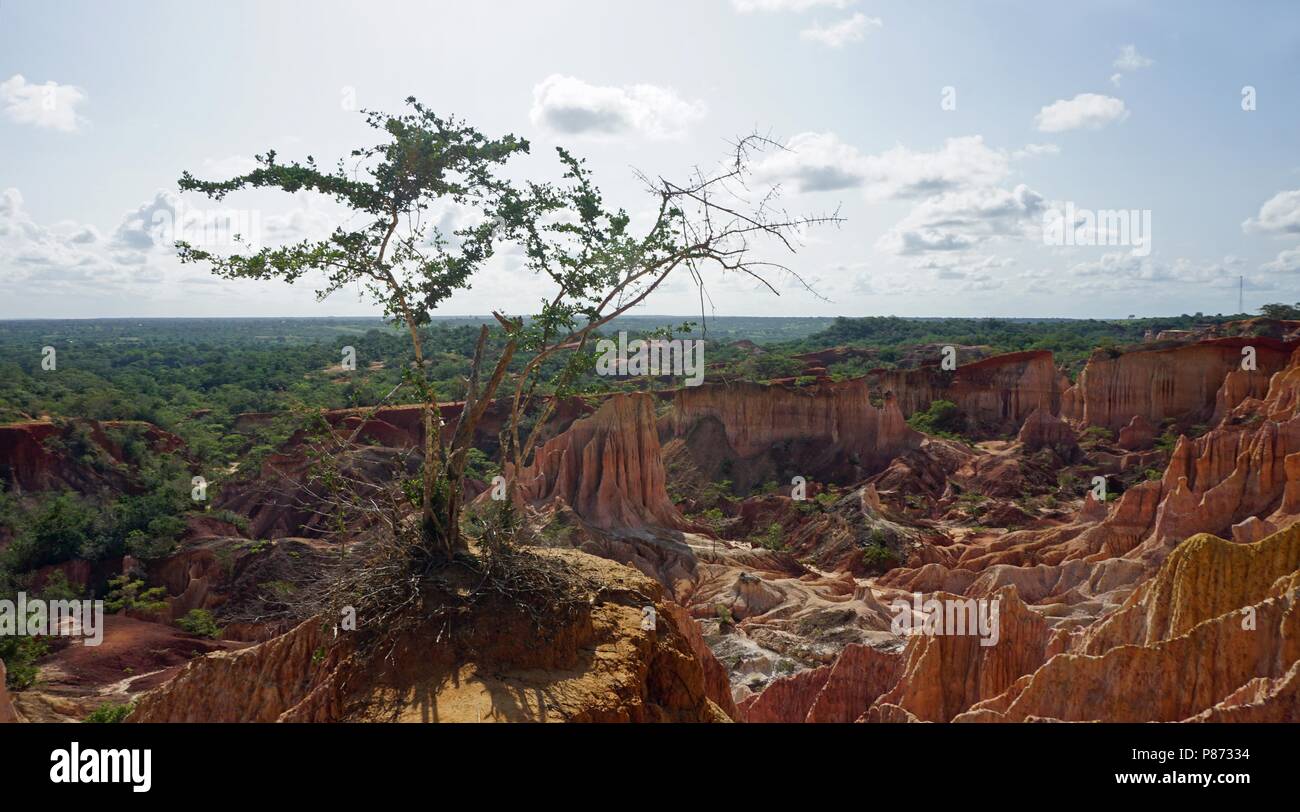 Hells Kitchen Canyon of Marafa in Keyna Stock Photo - Alamy