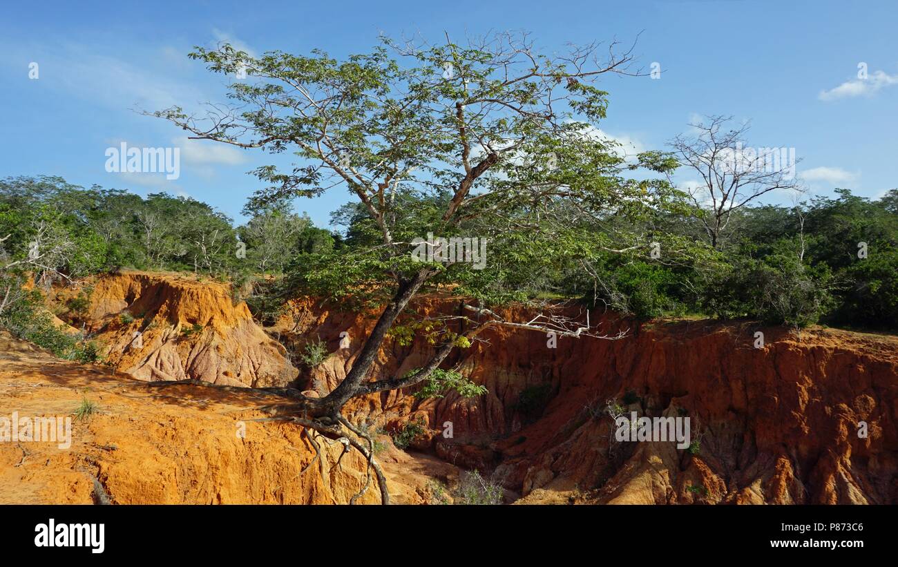Hells Kitchen Canyon of Marafa in Keyna Stock Photo - Alamy