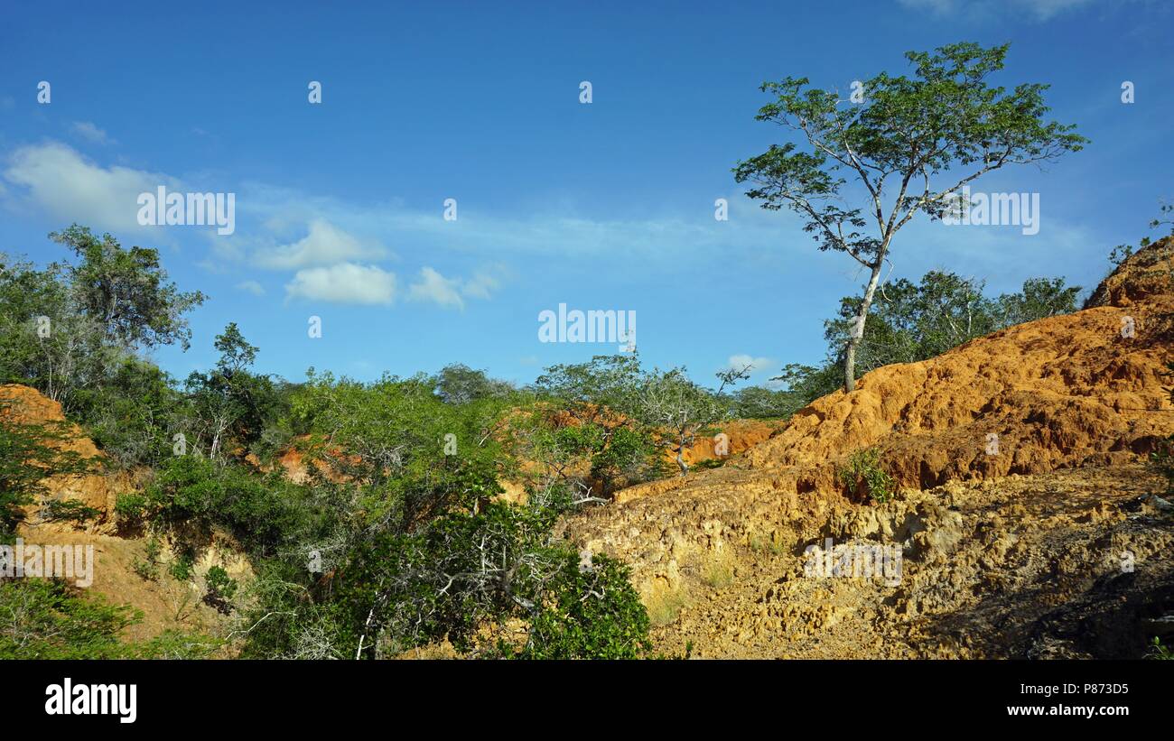 Hells Kitchen Canyon of Marafa in Keyna Stock Photo - Alamy