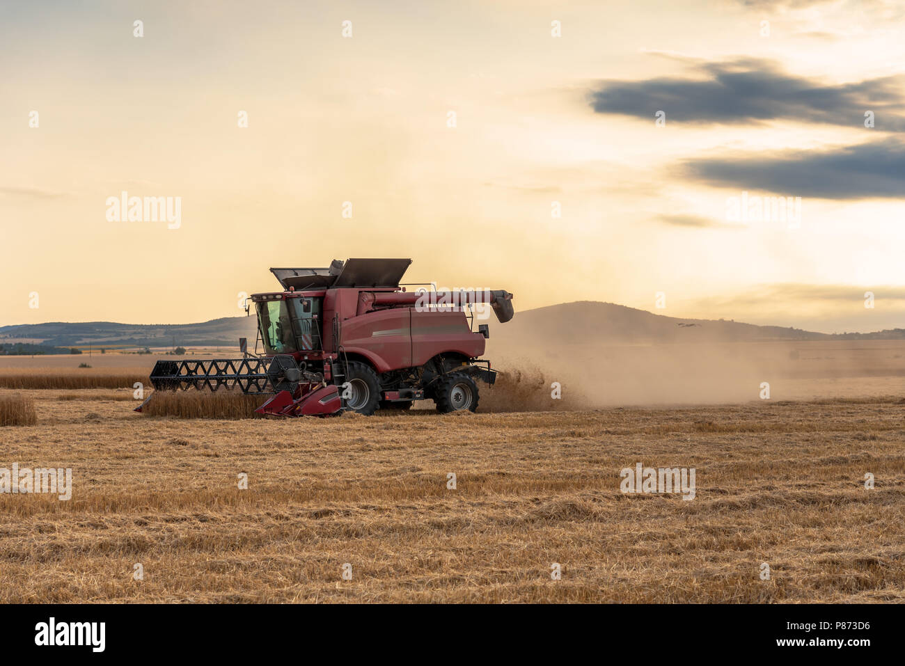 Harvester machine to harvest wheat field working Stock Photo - Alamy