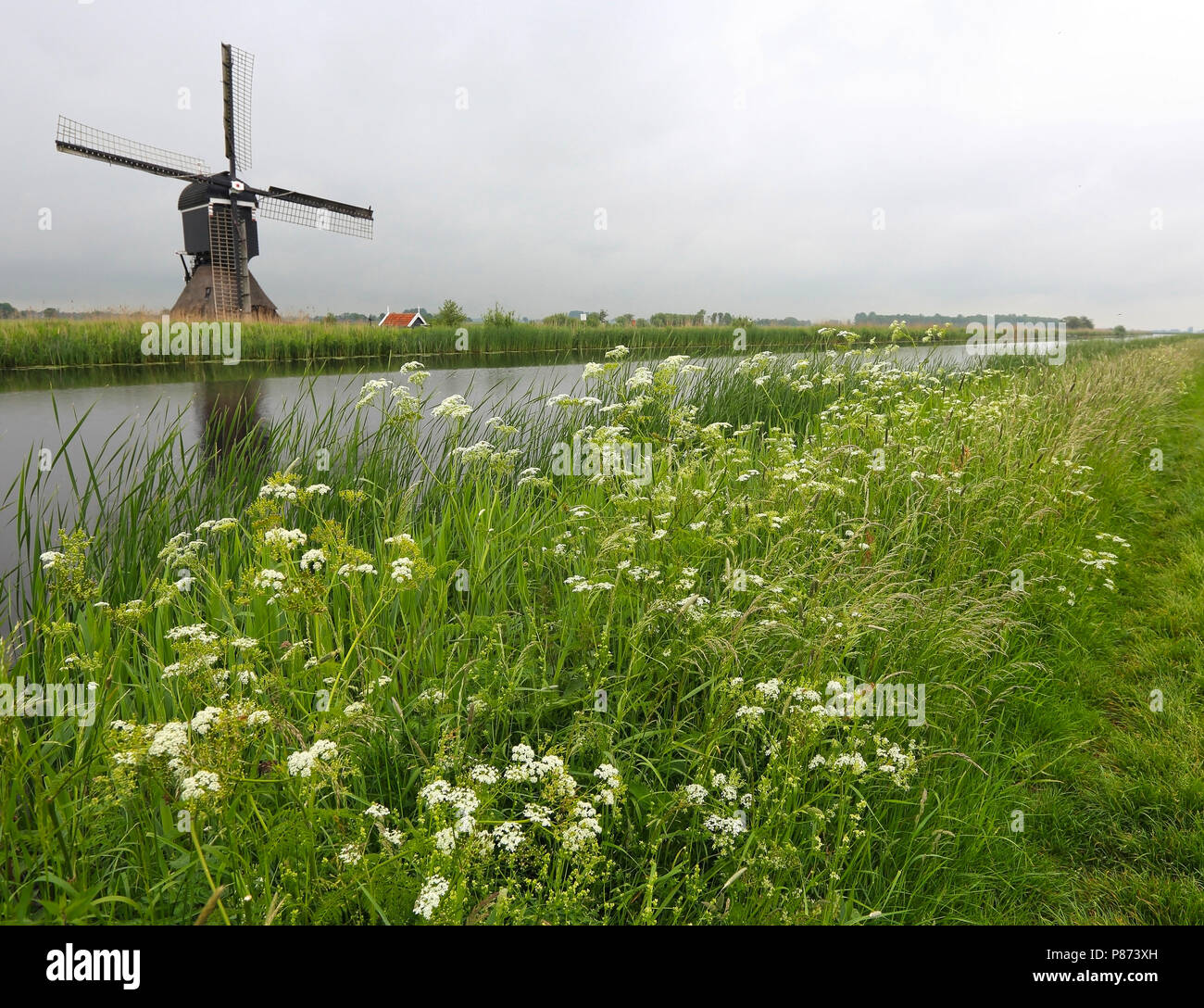 Alblasserwaard hi-res stock photography and images - Alamy