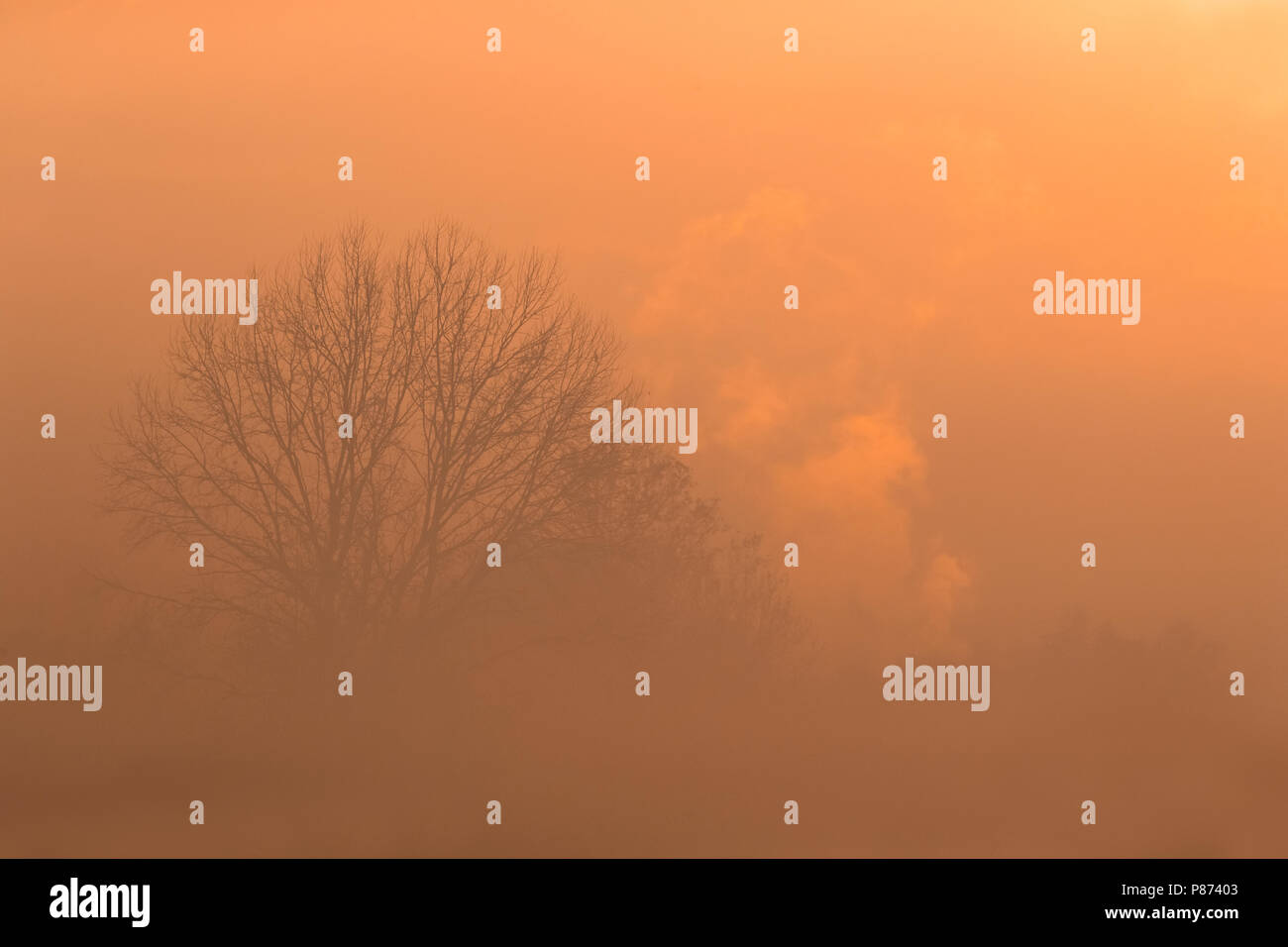 Zonsopkomst High Resolution Stock Photography and Images - Alamy