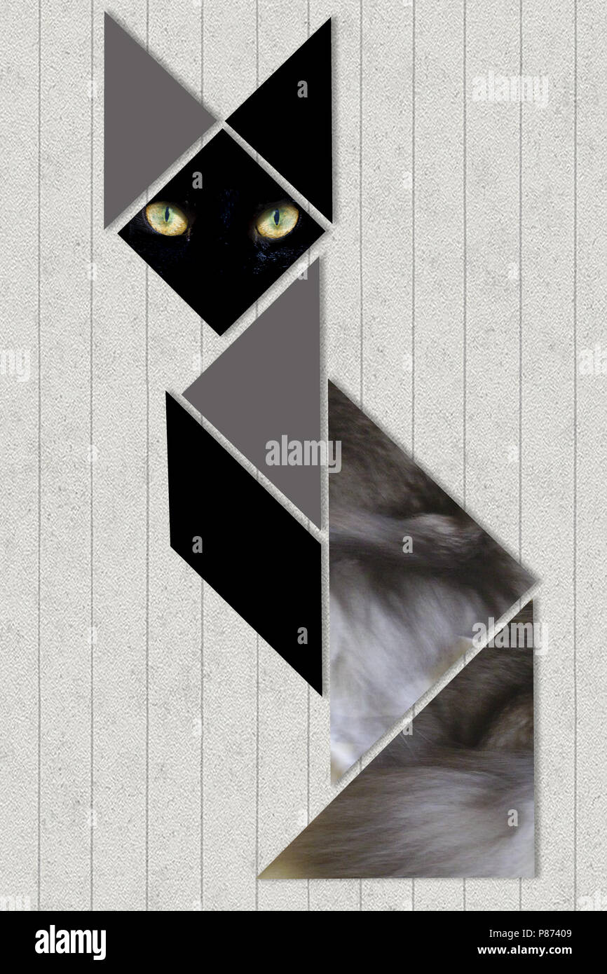 Figure with cat shape created with the game pieces Tangram Stock Photo ...