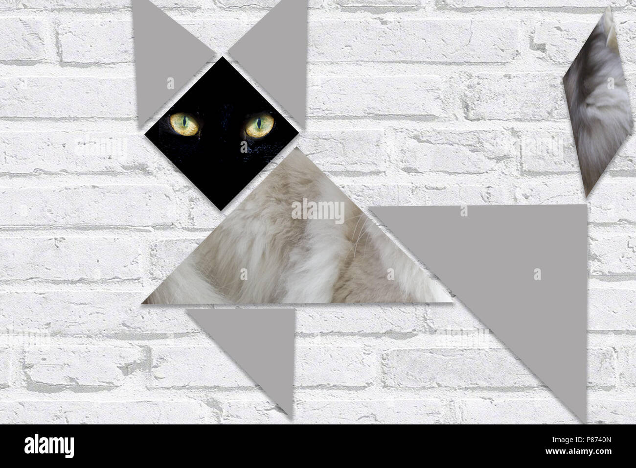 Figure with cat shape created with the game pieces Tangram Stock Photo ...