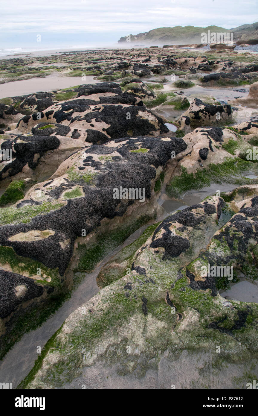 New Zealand Beach Rock Formation Stock Photo - Alamy