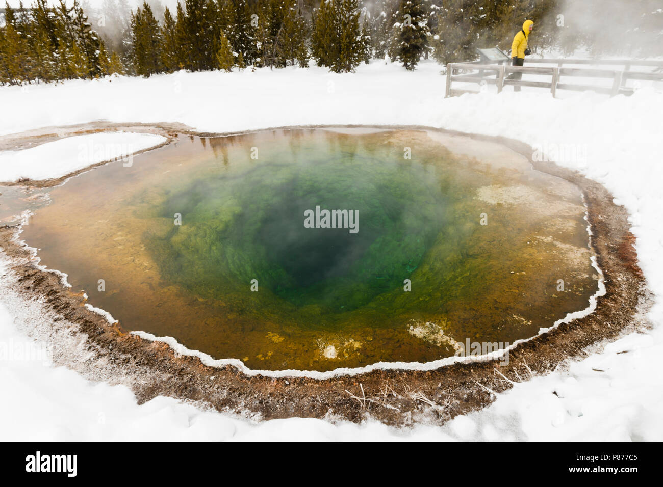 Nationaal park yellowstone hi-res stock photography and images - Alamy