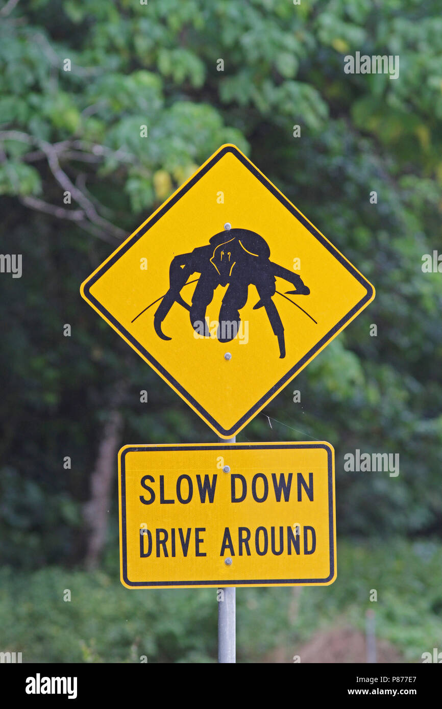 Crab bord, Crab sign Stock Photo - Alamy