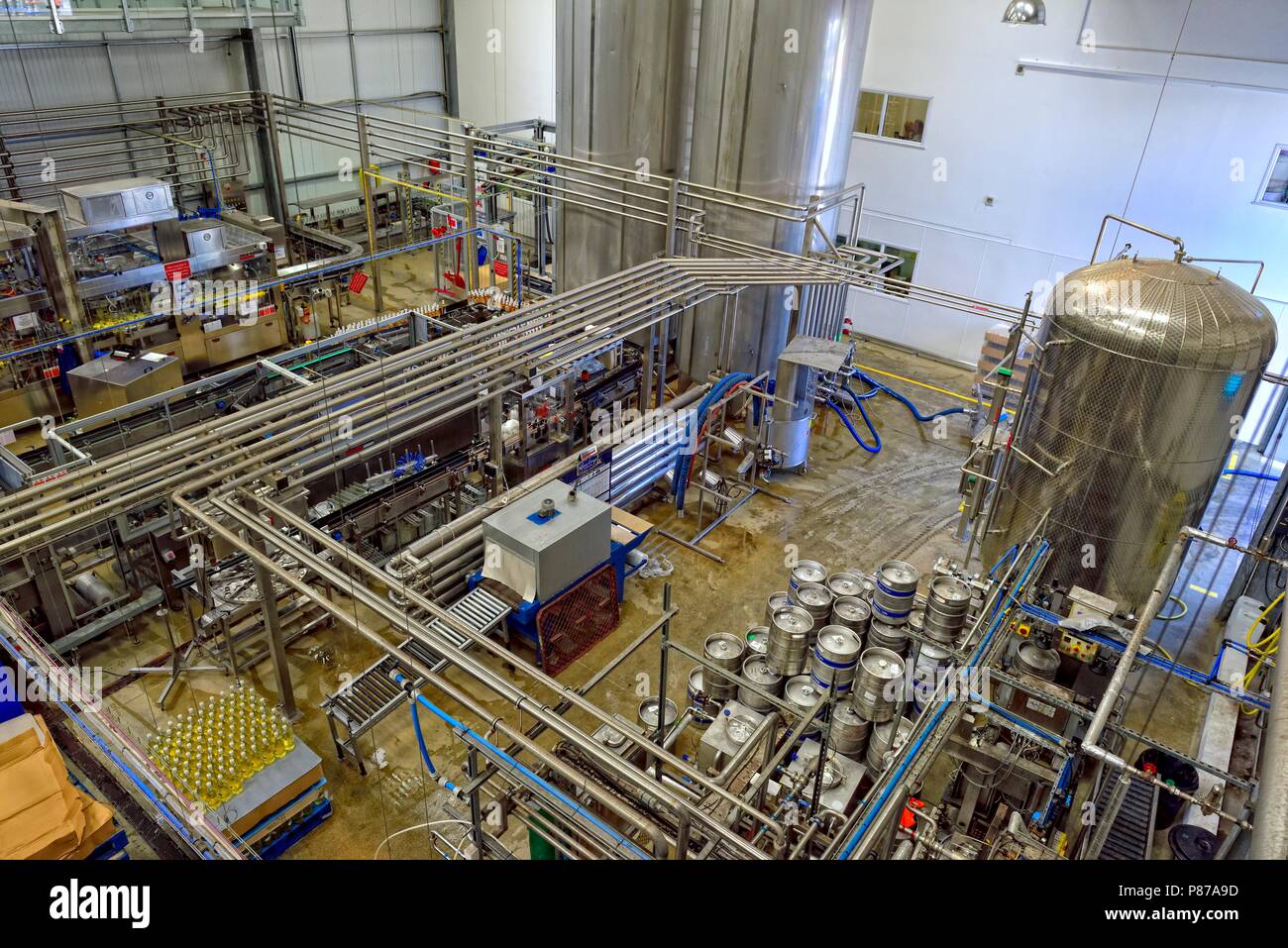 Bottling production line ,Healeys Cornish Cyder Farm,Penhallow, Truro ...