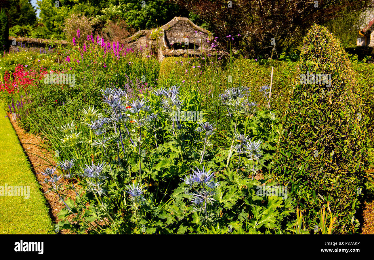 Cottage garden display showing various flowers in bloom Stock Photo - Alamy