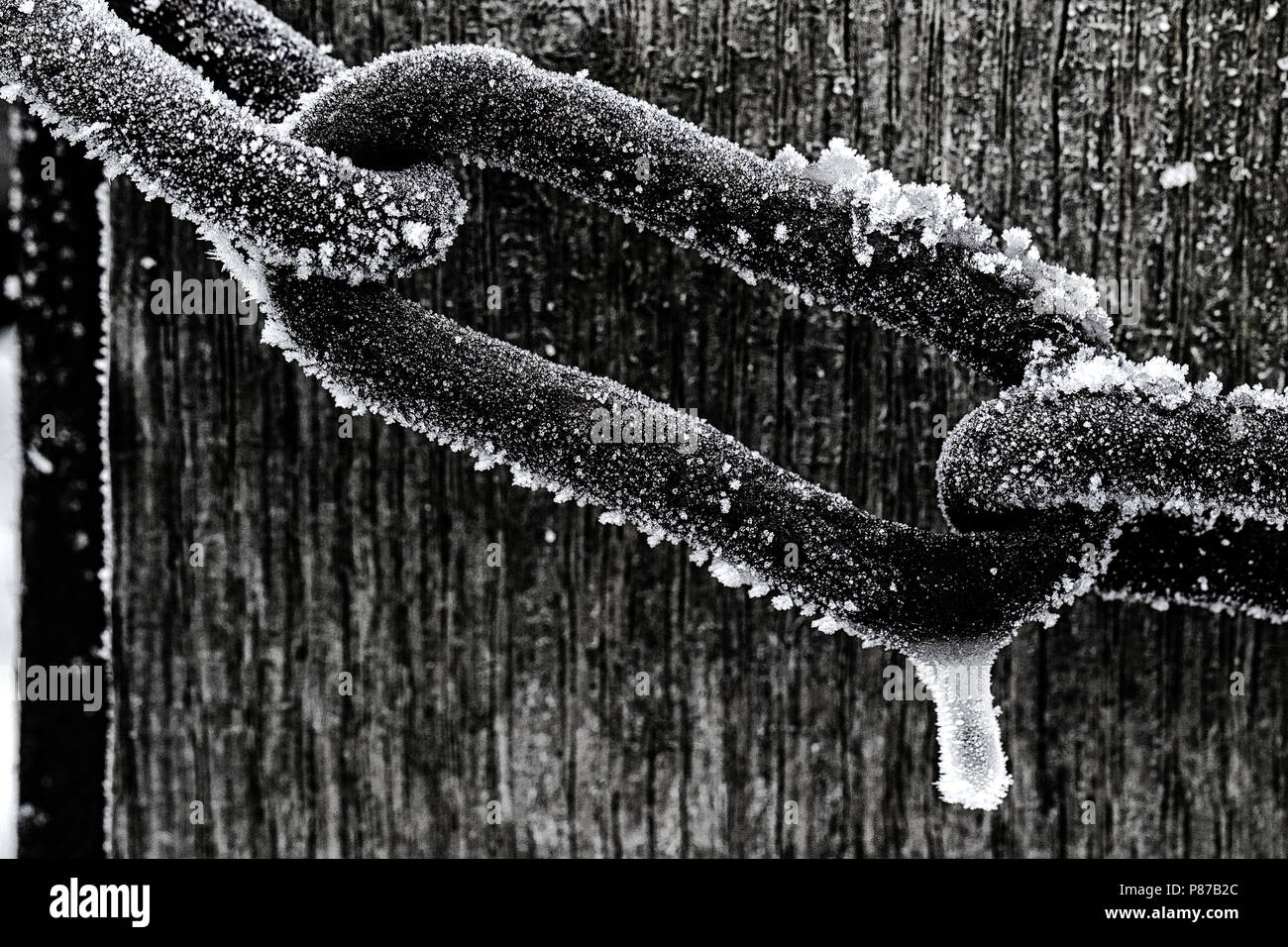 Bevroren schalmen, frozen Chain links Stock Photo - Alamy