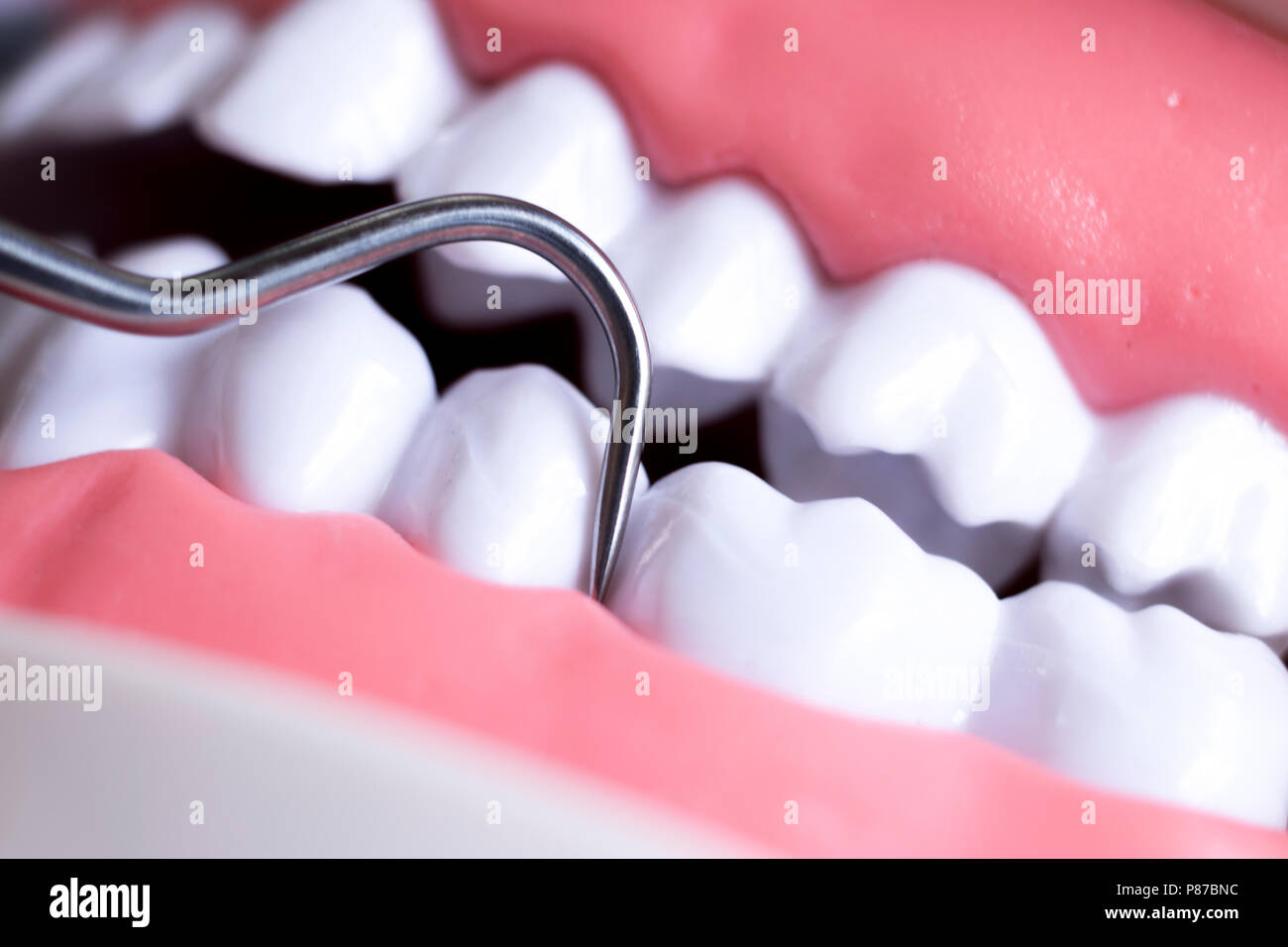 Dentist cleaning teeth with titanium metal tooth pick instrument to ...