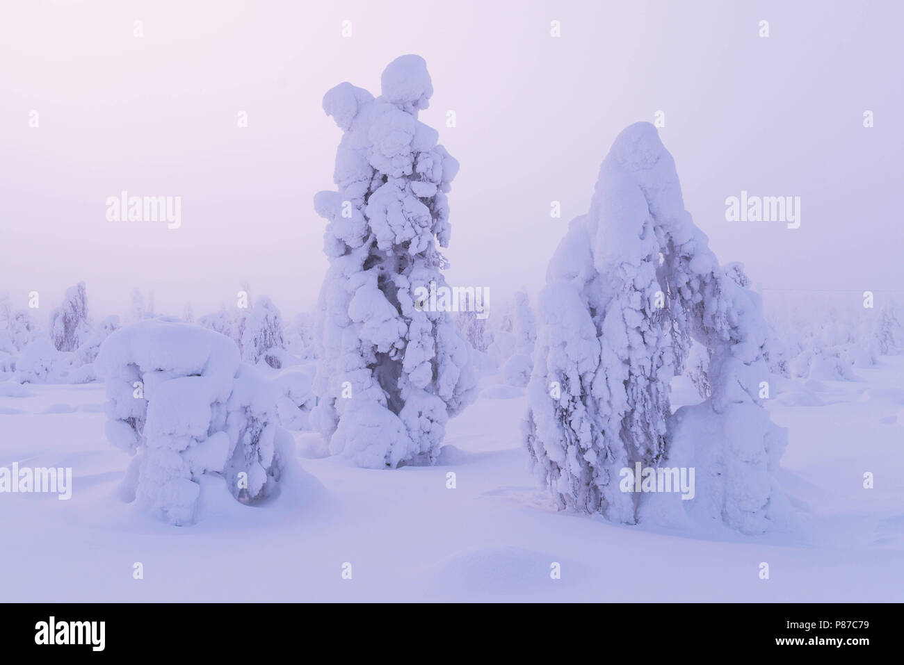 Winter scene from fell Sammaltunturi in Muonio, Finland, Lapland Stock ...