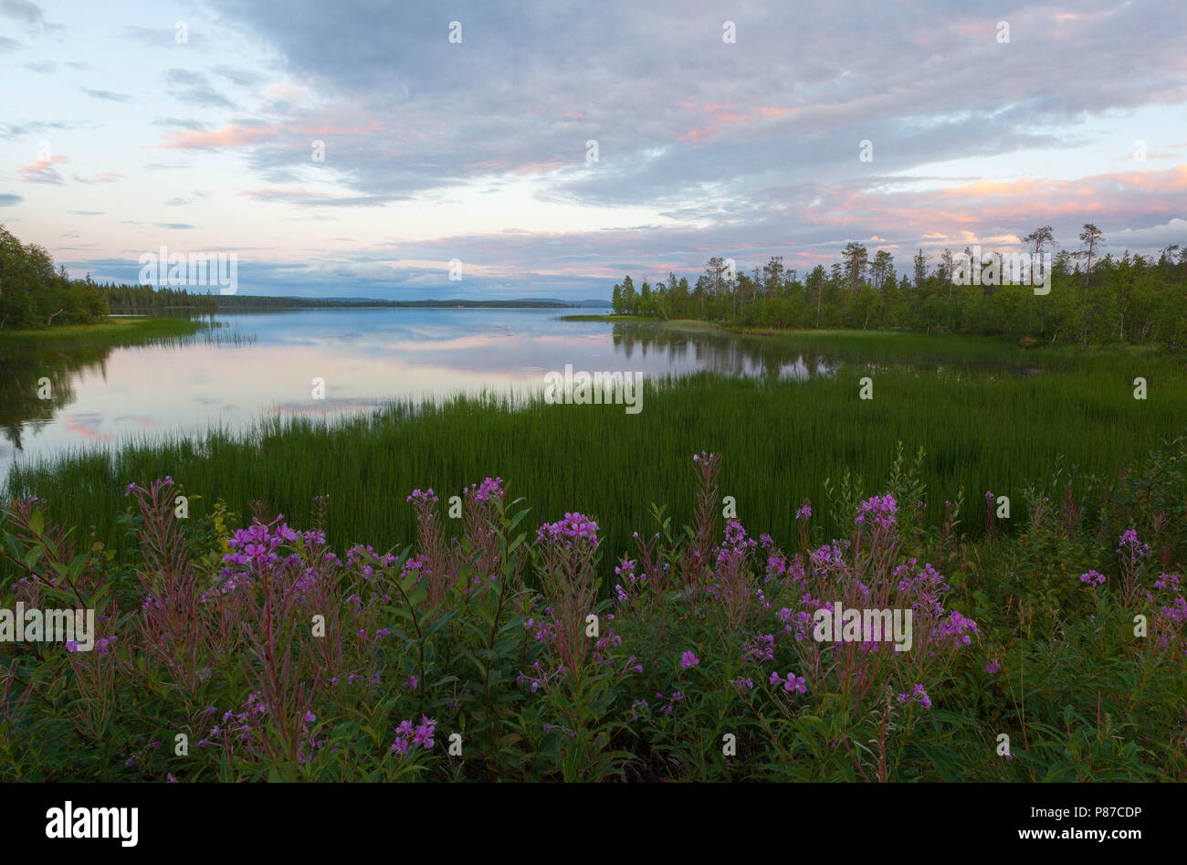Lake Jerisjärvi in Muonio, Lapland, Finland Stock Photo - Alamy