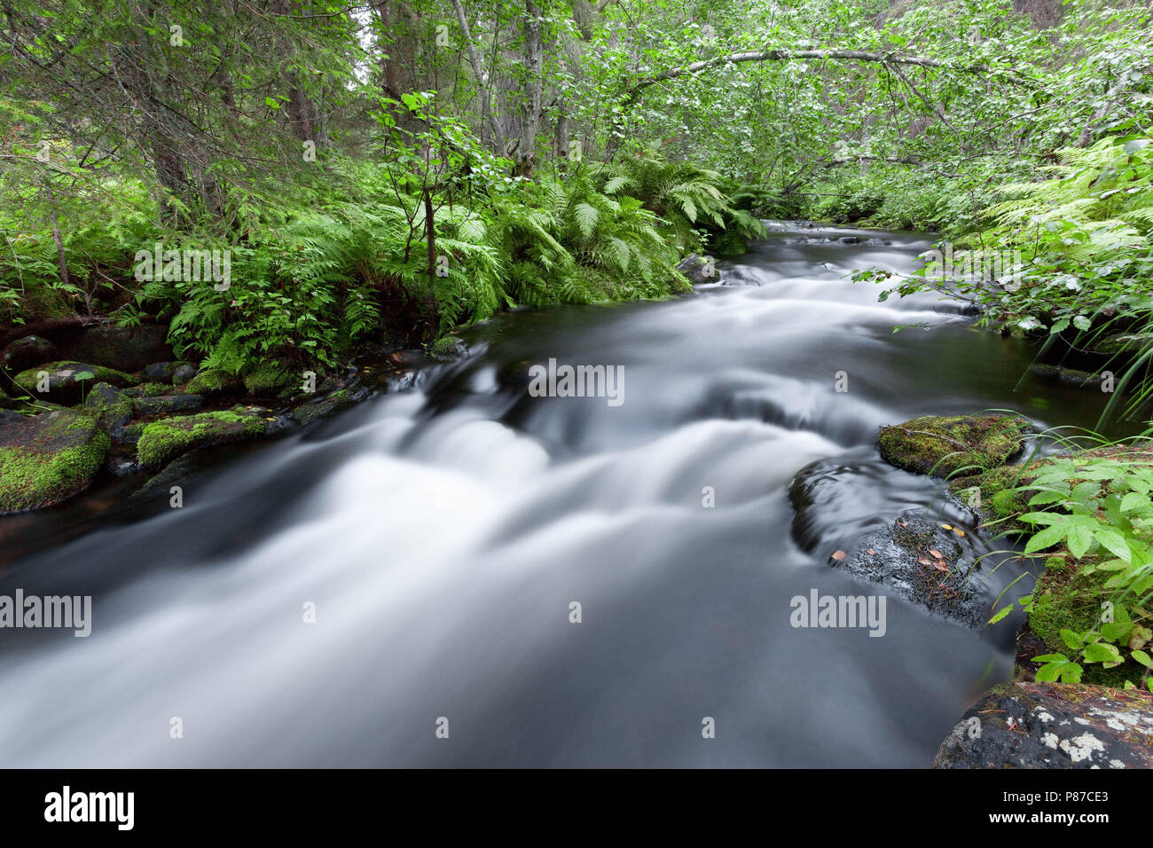 River Pyhäjoki in Pallas-Yllästunturi National Park, Muonio, Lapland ...