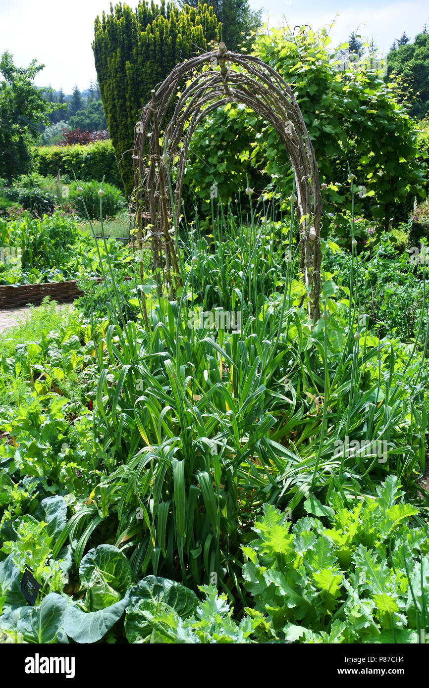 Potager kitchen garden hi-res stock photography and images - Alamy