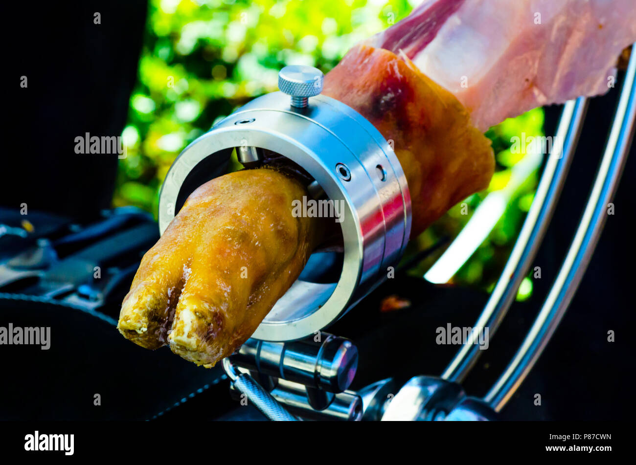 leg jamon serrano prepared for slicing, traditional Spanish ham, meat ...