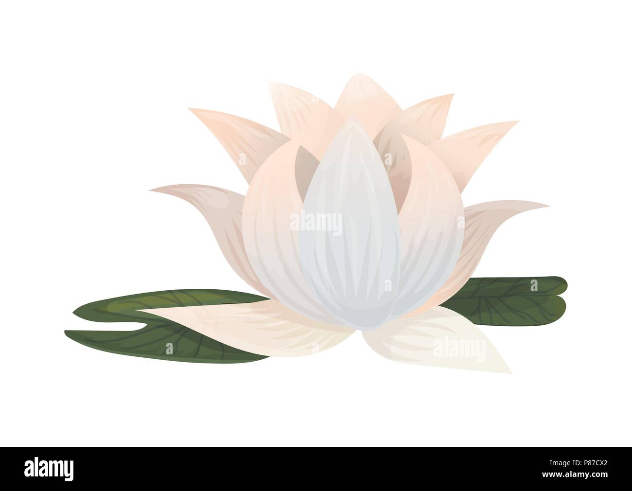 Vector Illustration: Lotus Flower in a pseudo realistic style. Sacred ...