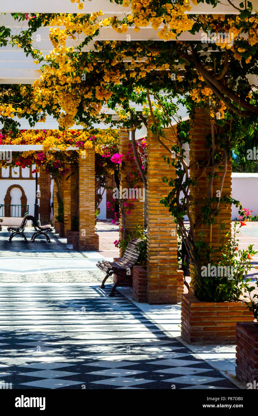 closeup on a beautiful arbor covered with climbing plants with colorful ...