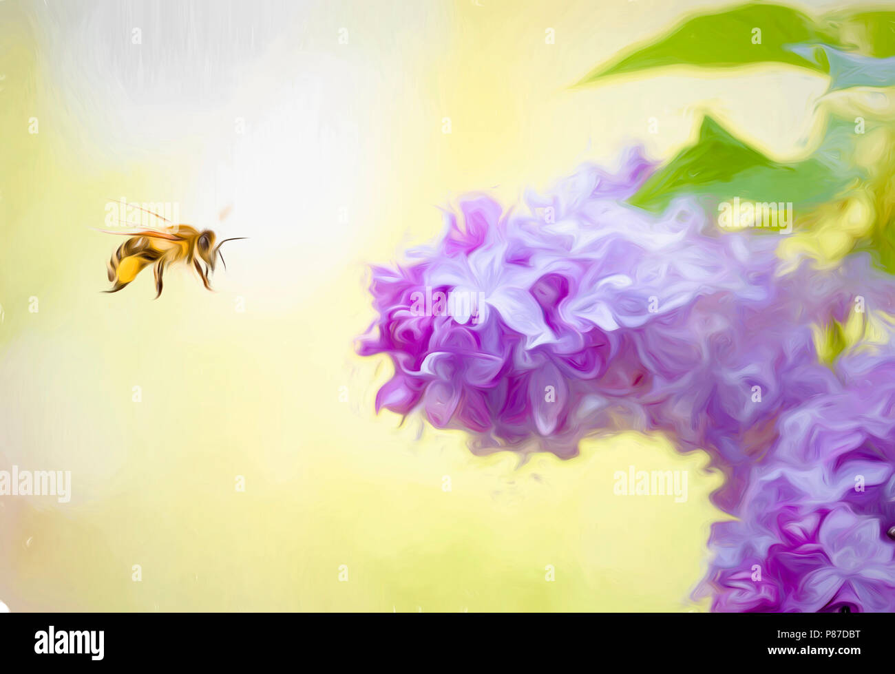 Bumblebee buzz pollination hi-res stock photography and images - Alamy