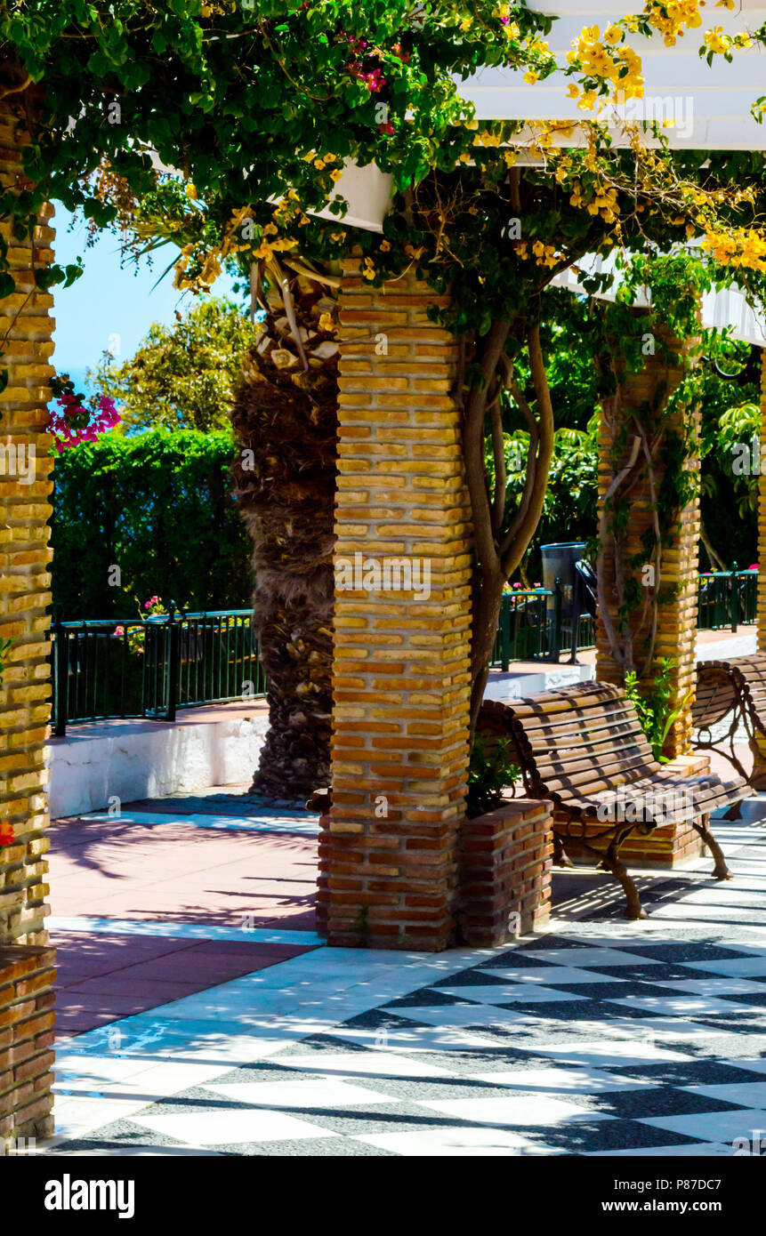 closeup on a beautiful arbor covered with climbing plants with colorful ...